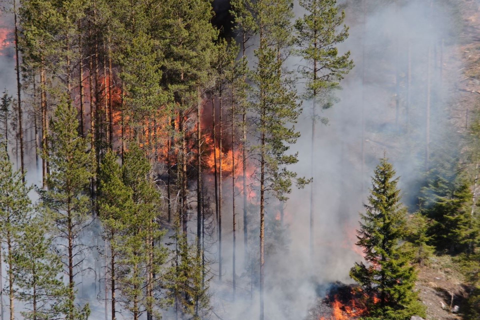 Drones and AI can help suppress wildfires in the future | National Land ...