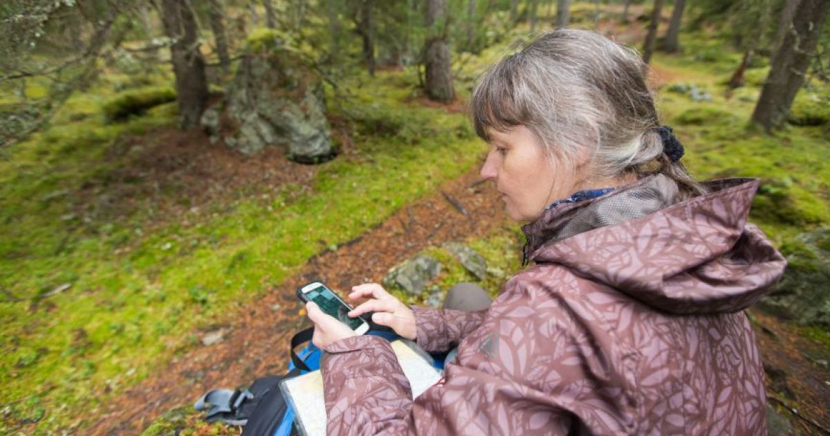 Printed topographic map sheets are once again available – the National ...